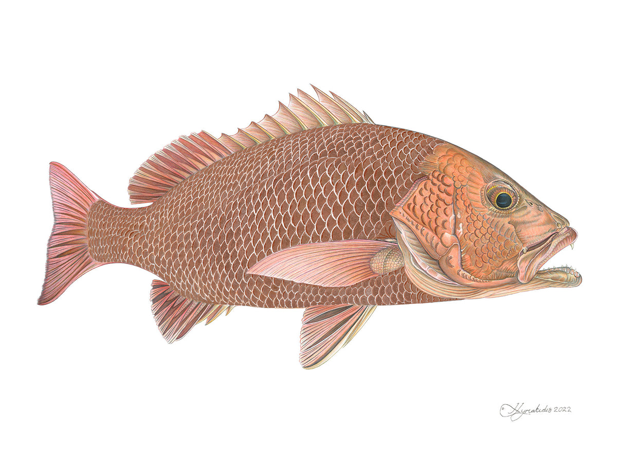 Marine Art