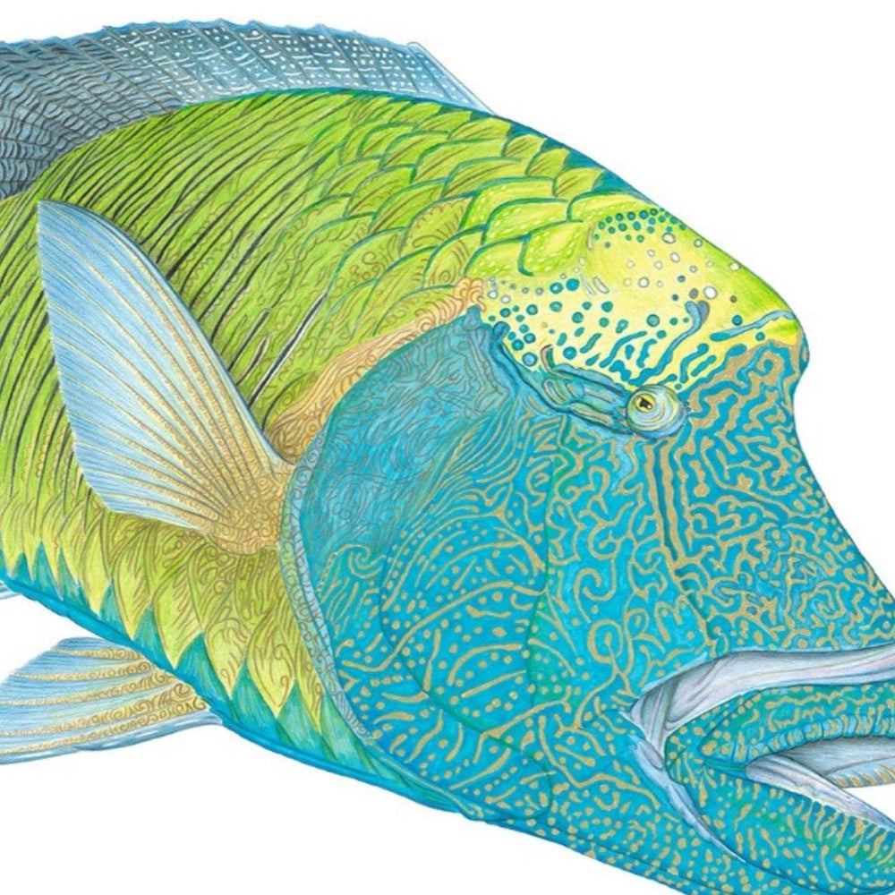 Lowrance Electronics